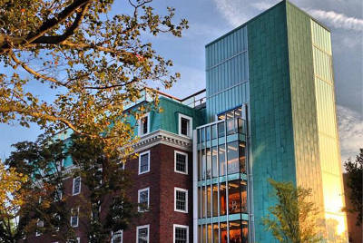 Diandra Maselli | Portfolio