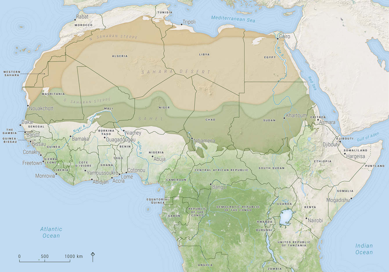 Rowan Maps - Adam Corey Jessup