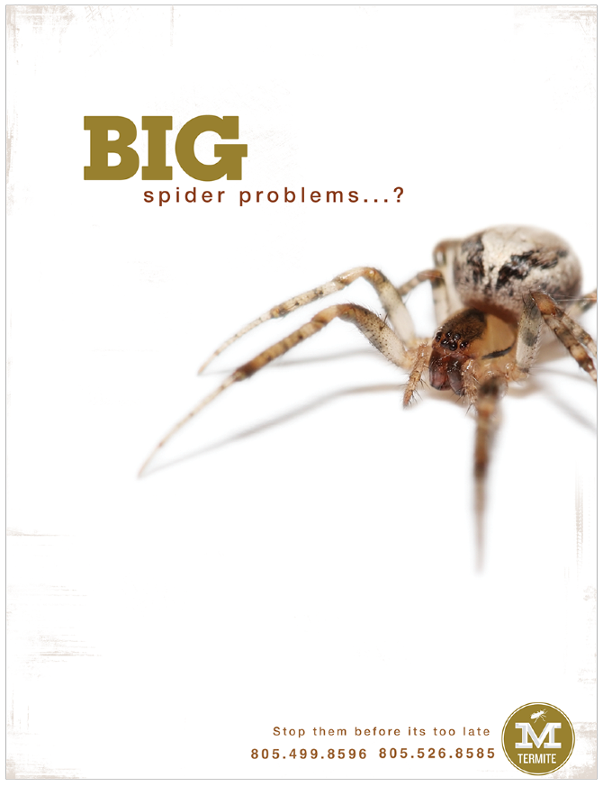 M&M Termite Ad Campaign - Josh Kimball