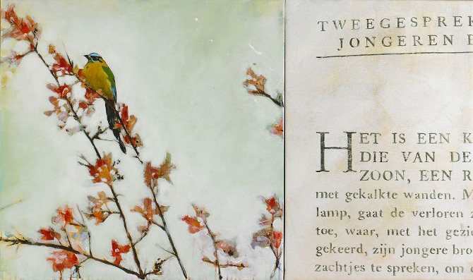 Birds - Saint Justine