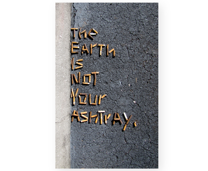 Environmental Type Poster - Meghn Lofing | Portfolio