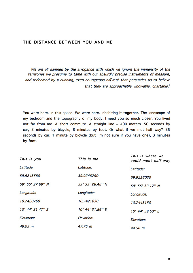 the distance between you and me - Hedda Roterud Amundsen