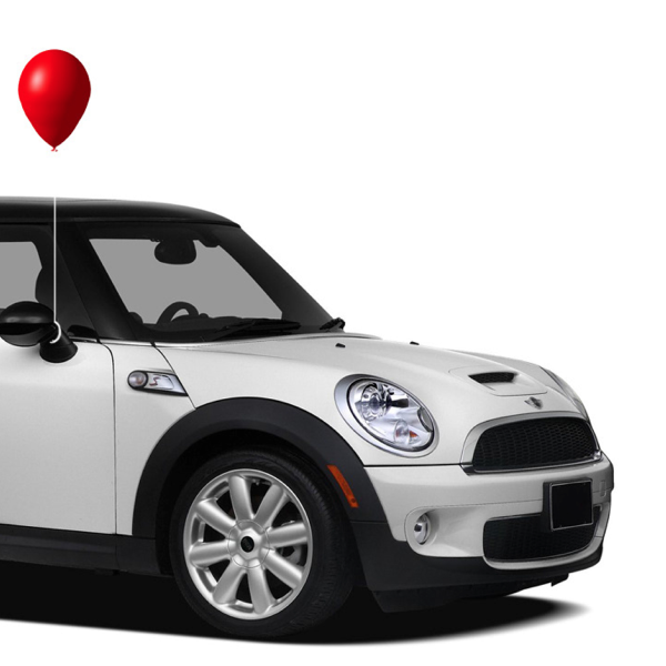 MINI JOY - crystalmiri.com