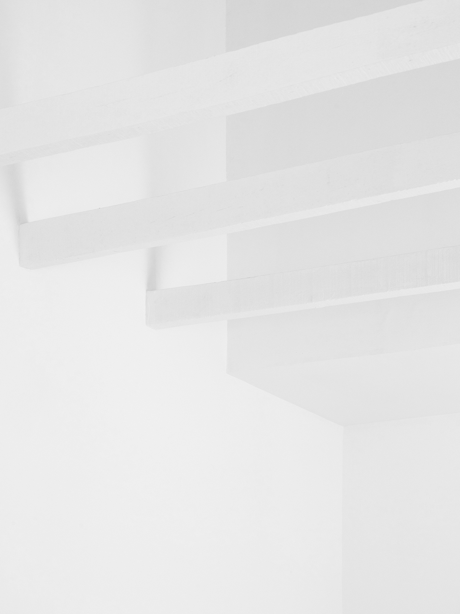 Casa Albero - GUILLERMO TRAPIELLO