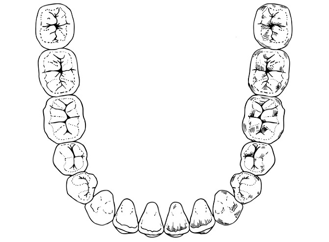 Illustraties - jellejonker.nl