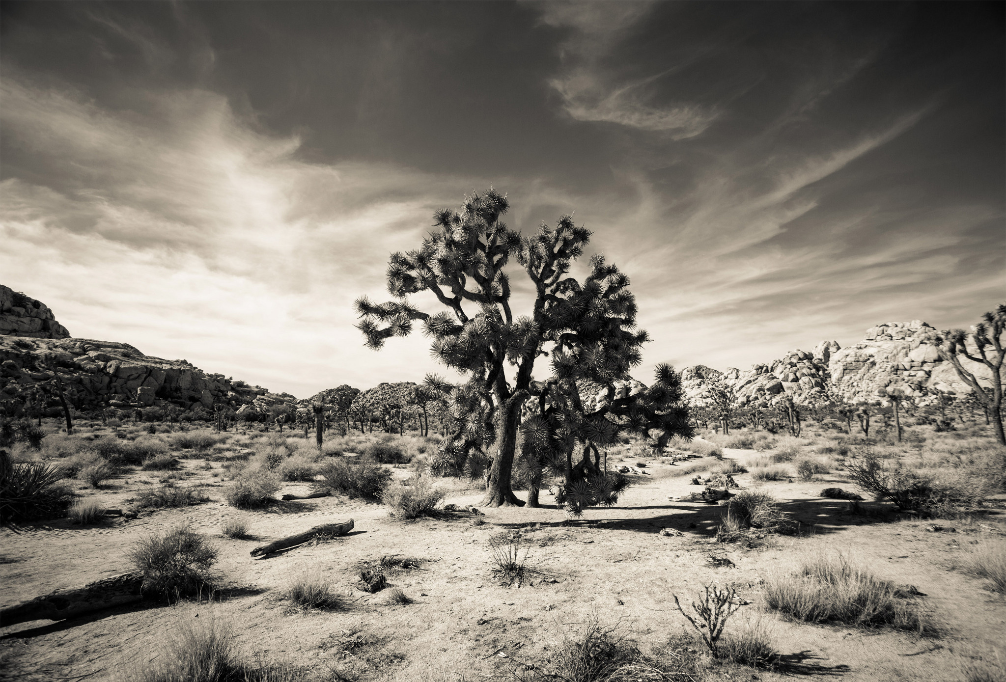 Photography - Drew Jorstad