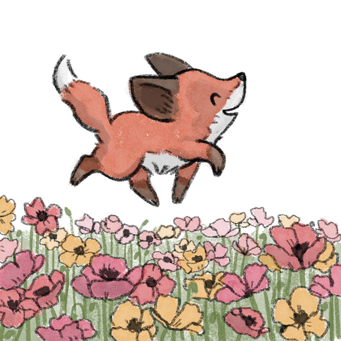 Simple Style Illustrations - Cori Doerrfeld Illustration