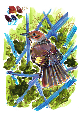 4AM - Emma Evans Illustration