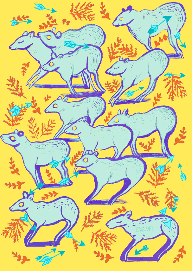 The Galloping Agouti - Emma Evans Illustration