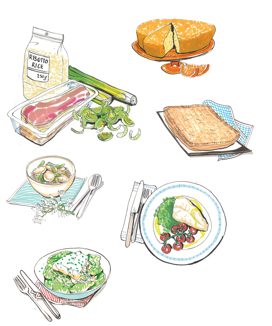 The Times - Dinner Tonight - Daily illustrations - claremallison.com