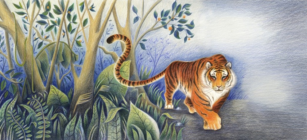 Jesse Hodgson Illustration