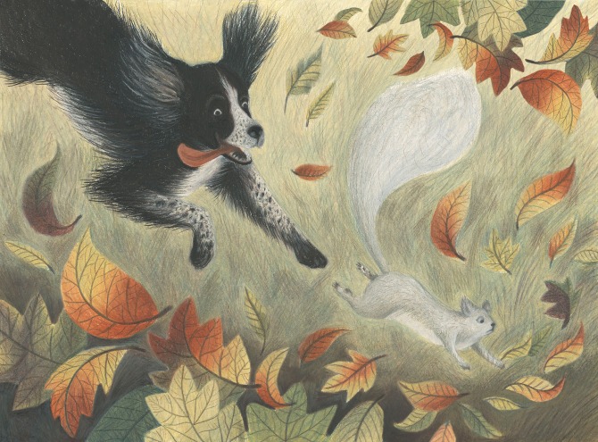 Children's Animal Illustrations - Jesse Hodgson Illustration