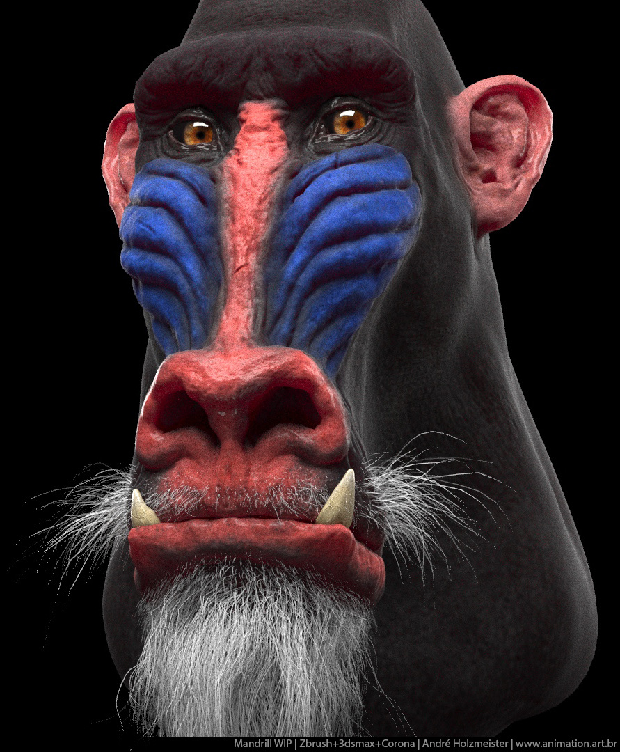 Mandrill - André Holzmeister Portfolio
