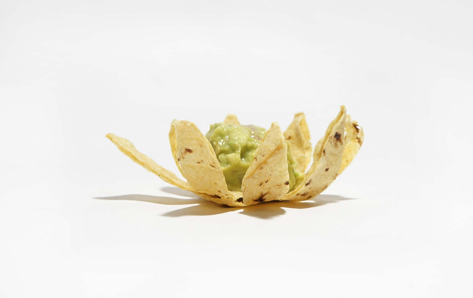 Tortilla as a Material of Design - victoriamolina.net