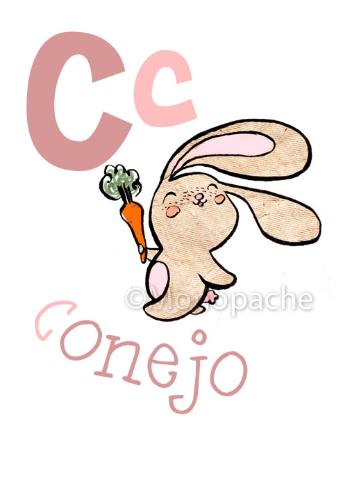 Ilustración - Estudio Monopache