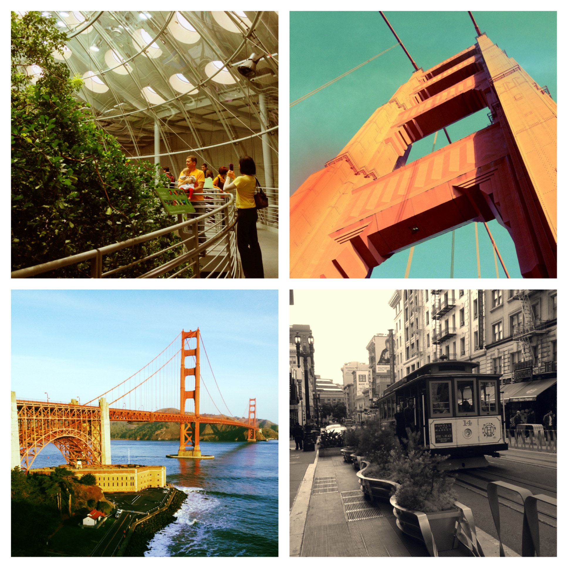 adaptive packaging - Daniel E. Hutcherson