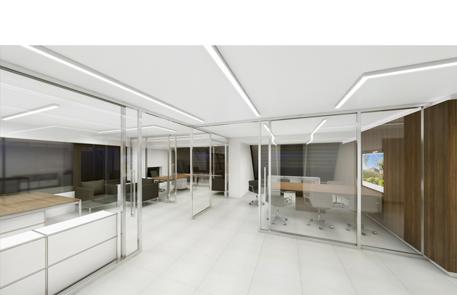 SNF Office Renovation - Part I - Jason Spiliotakos architecture + design