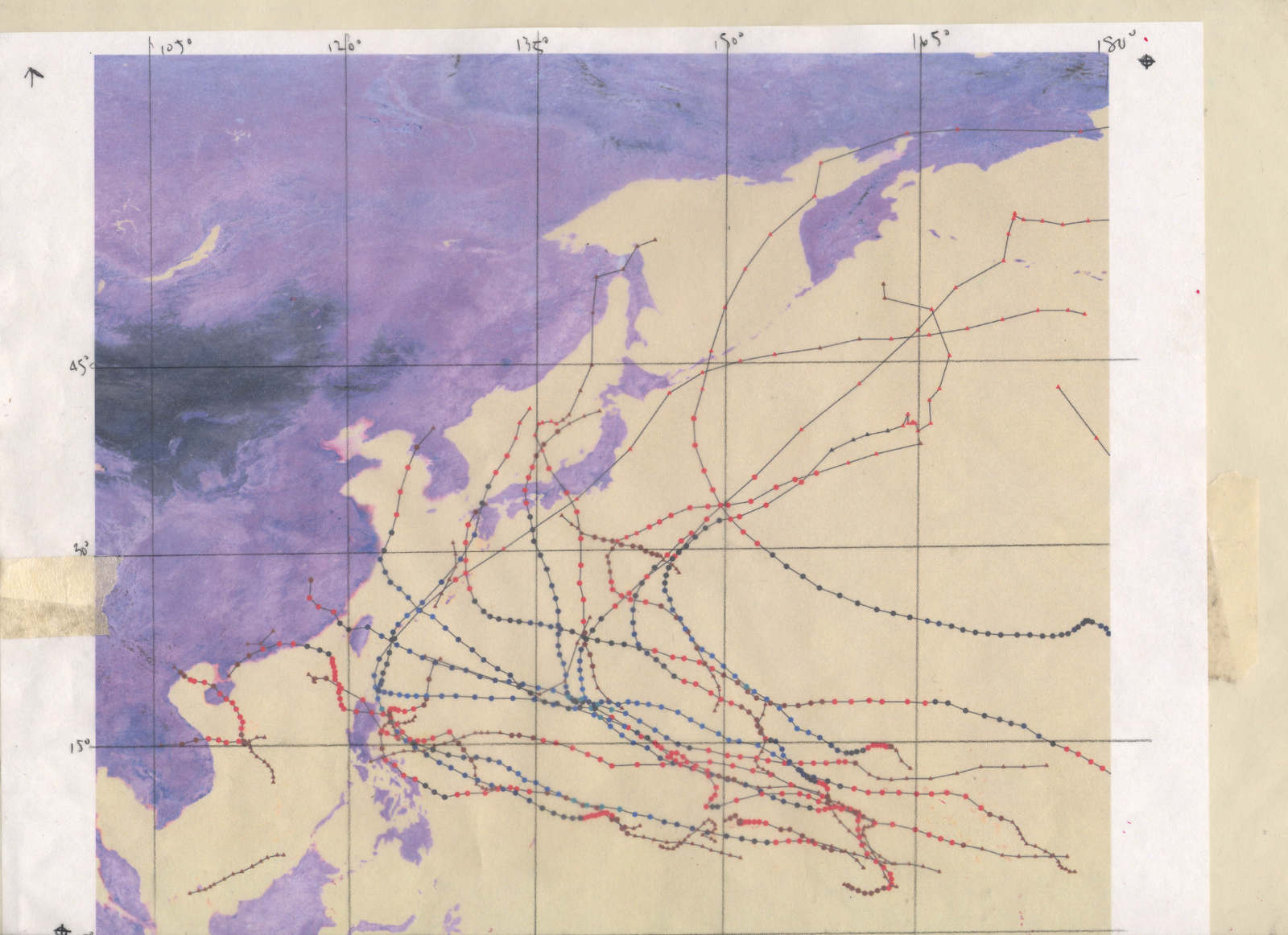 Typhoon - nicci yin ~ mdp