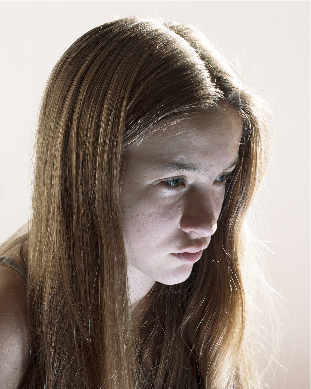 spring - morgen van vorst