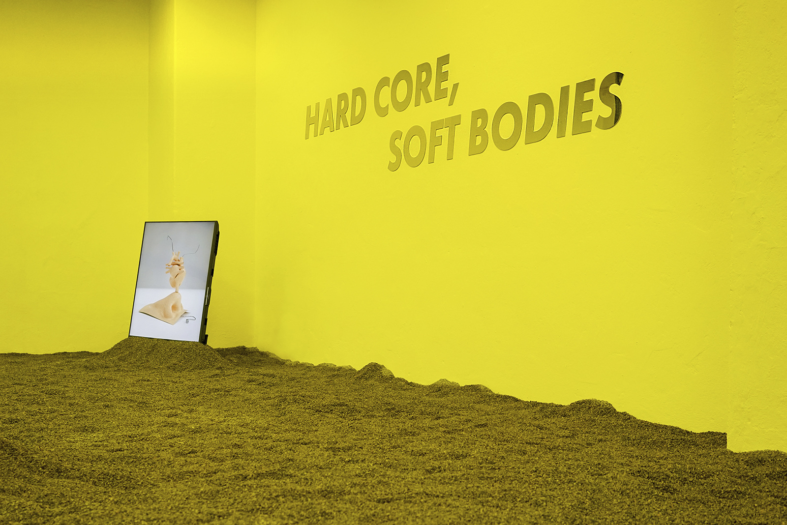 HARD CORE, SOFT BODIES - stinedeja.com
