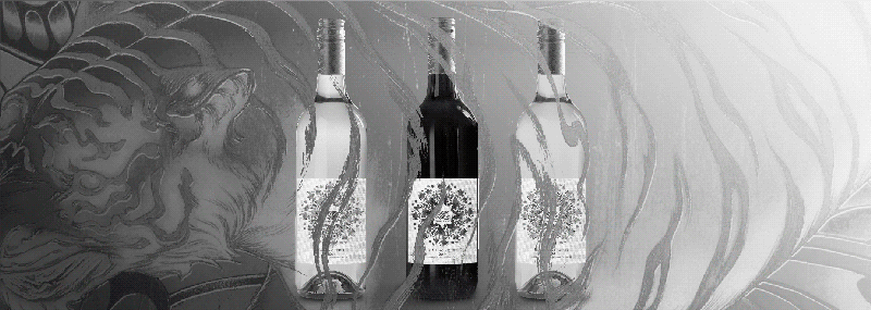 Visual Identity: SOMA RASA - KKC studio: Design & Illustration