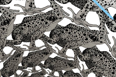 Impermanence ii - KKC studio: Design & Illustration