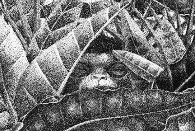 Impermanence ii - KKC studio: Design & Illustration