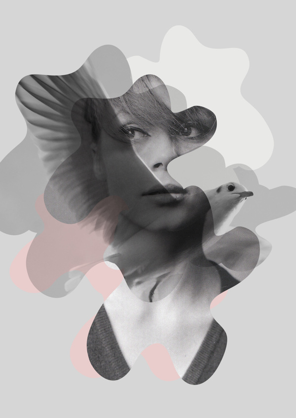 Exhibitions - Francisca Pageo