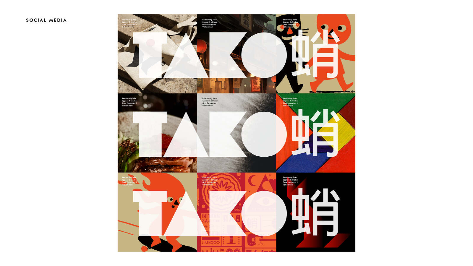 Tako. 2024–2025. - oscarliedgren