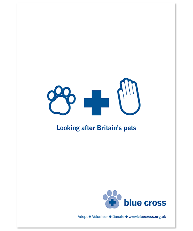 Blue Cross rebranding - JuliaCommunicates.com