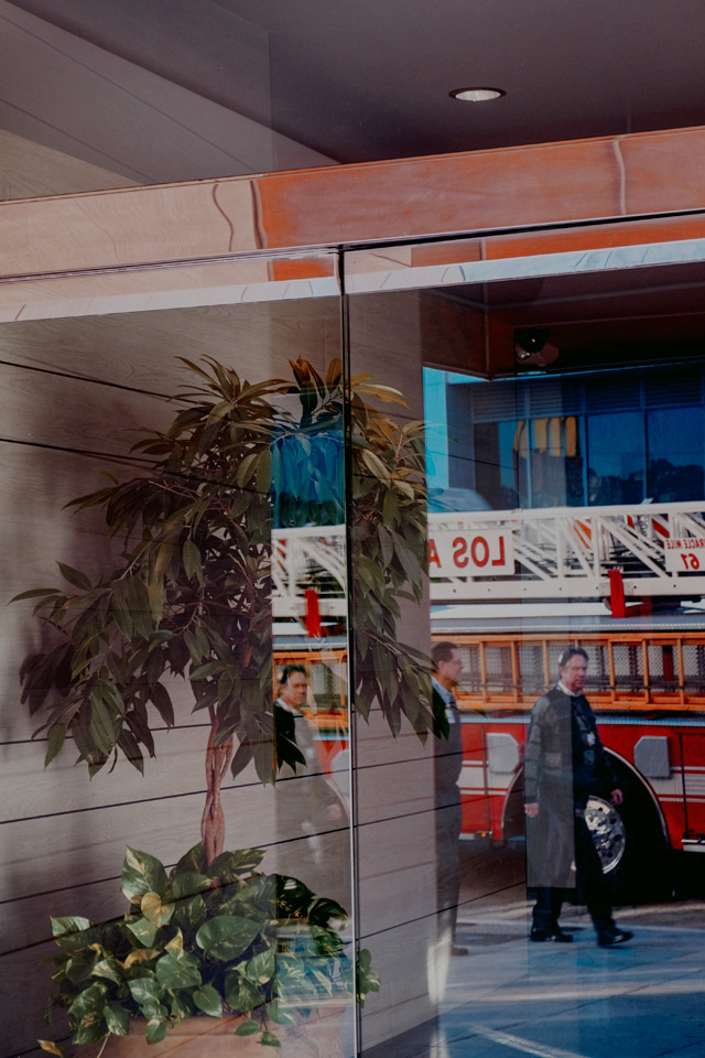 III. - Maxime Chillemi