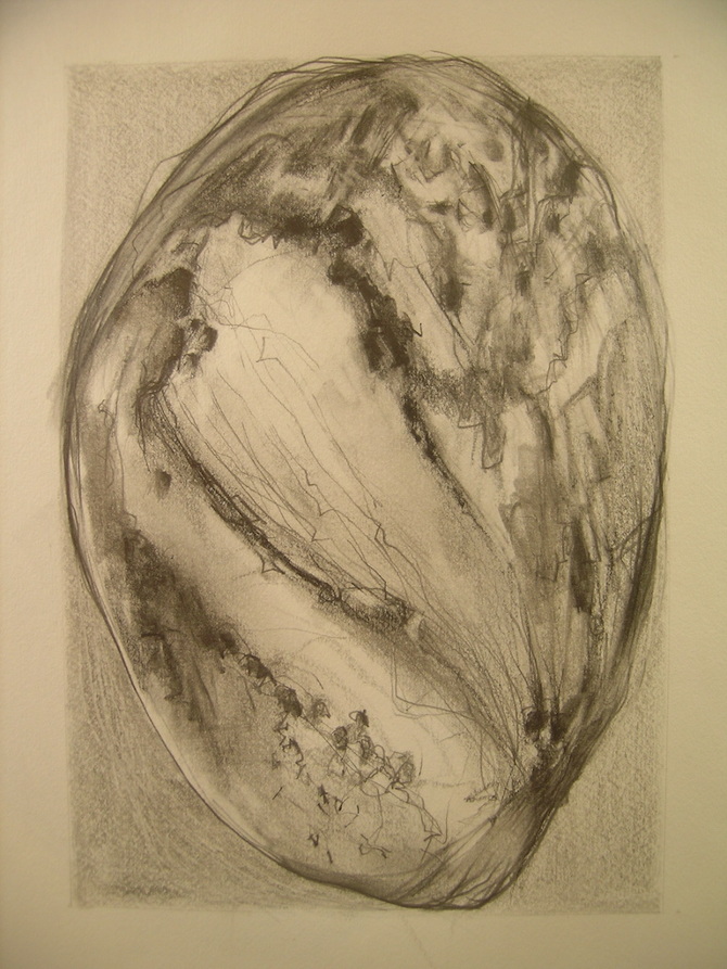 Slow Growth Drawings - Carmine Iannaccone