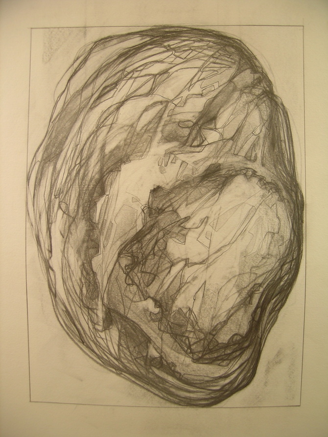 Slow Growth Drawings - Carmine Iannaccone