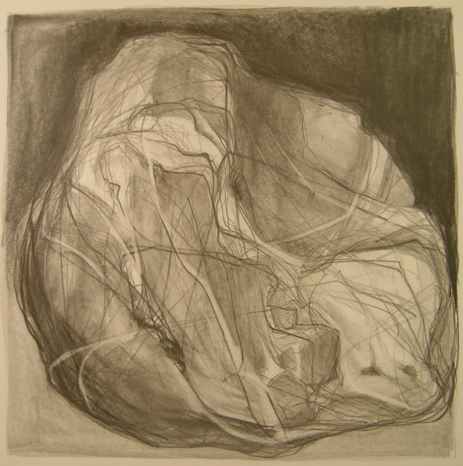 Slow Growth Drawings - Carmine Iannaccone