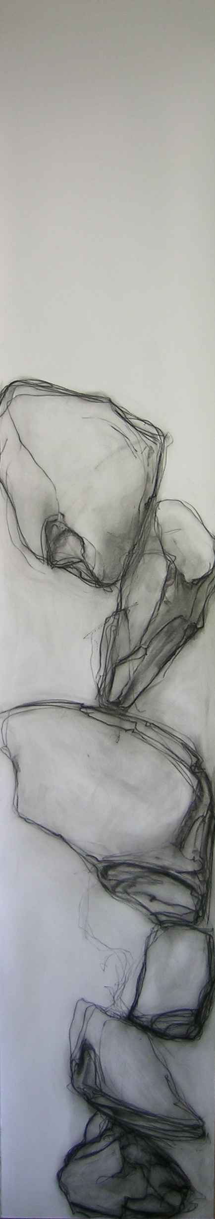 Slow Growth Drawings - Carmine Iannaccone