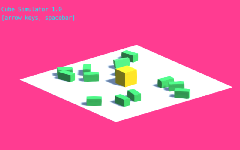 CUBE SIMULATOR - Dennis Roberts