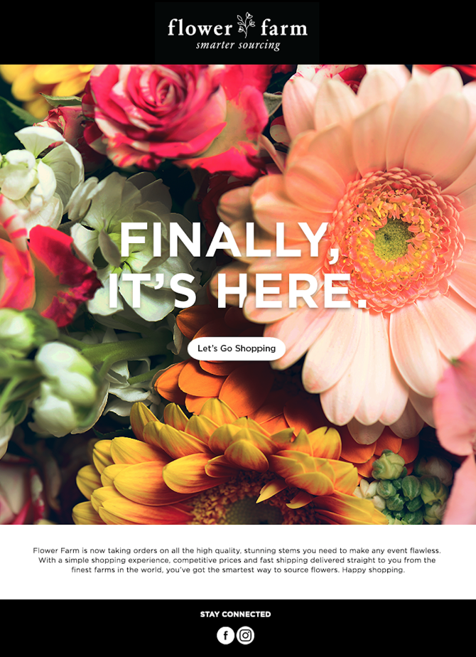 FTD & Flower Farm Emails - Colleen McDunn Portfolio