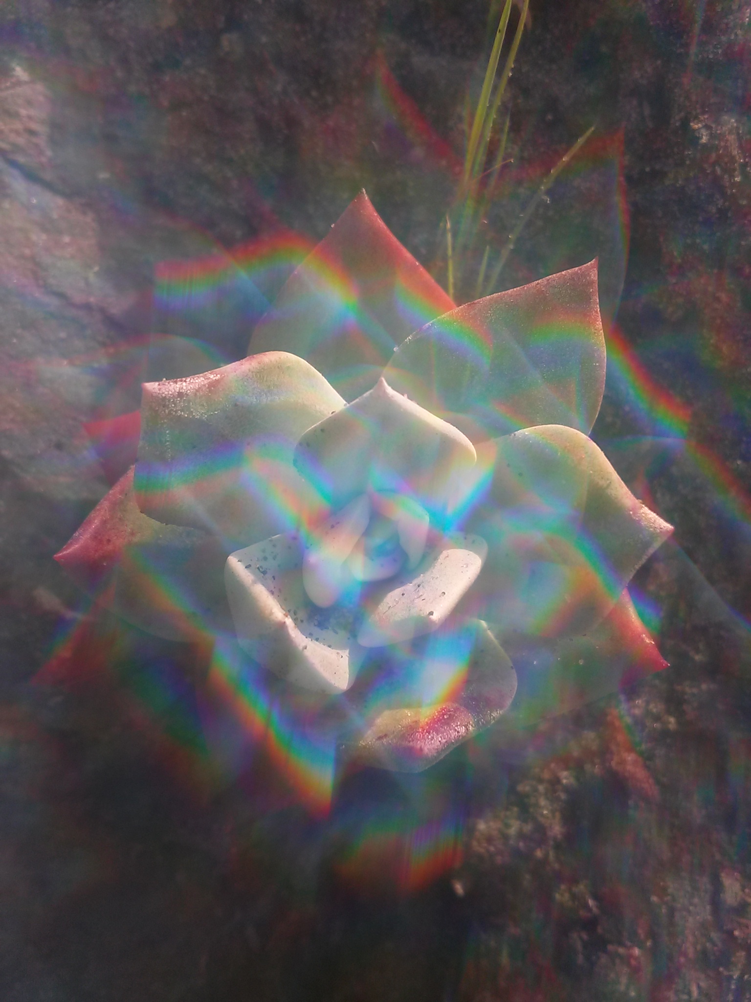 Magic Eye - BeautifulUrself