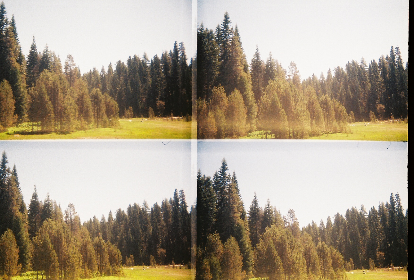 Same Earth Different Year - BeautifulUrself