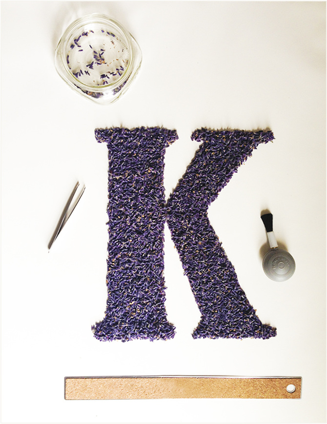 Tactile Typography - Danica / Art Director & Designer