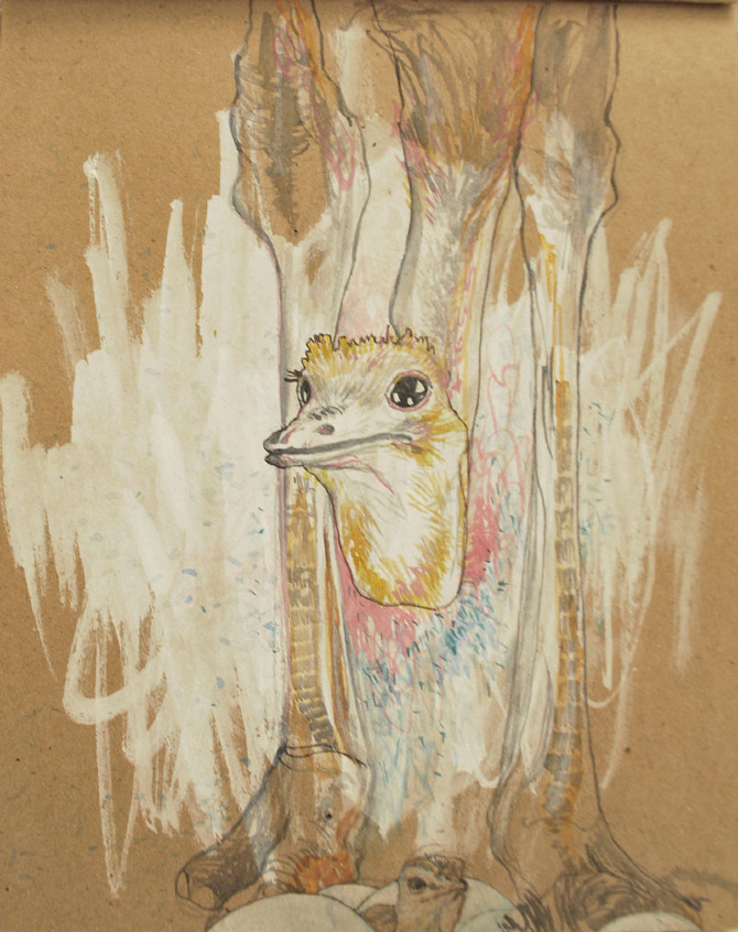 Animals - nikki ocean