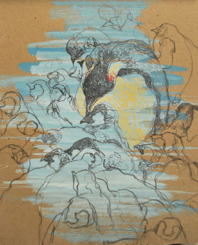 Animals - nikki ocean