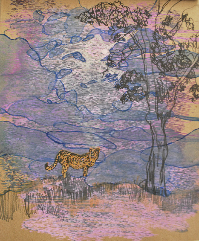 Animals - nikki ocean