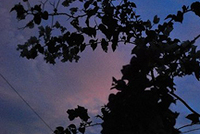 Photos of Nature - nikki ocean