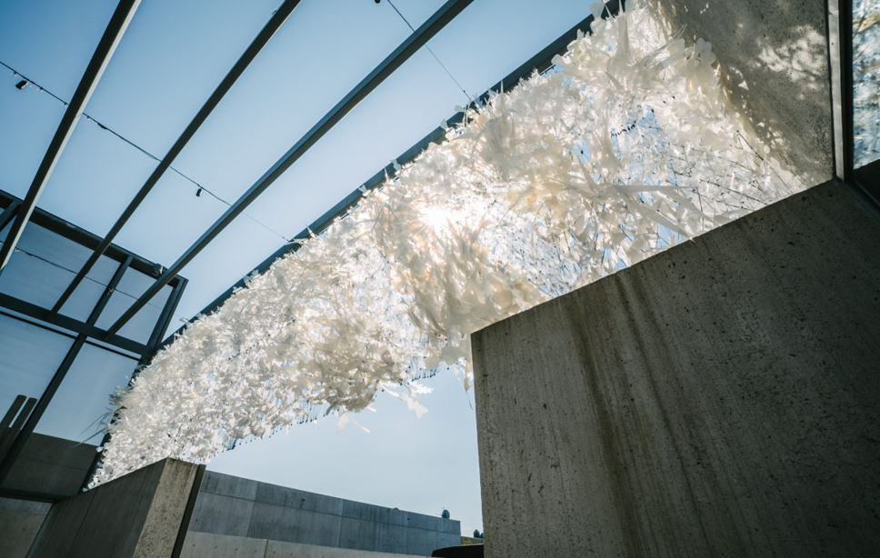 HEDGE - jason.foster.butz