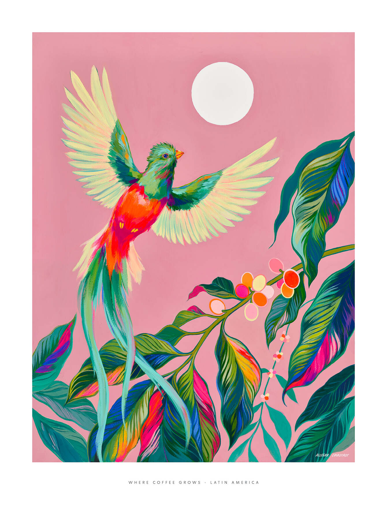 Starbucks | Global Art Catalog (Series) - Allegra Lockstadt