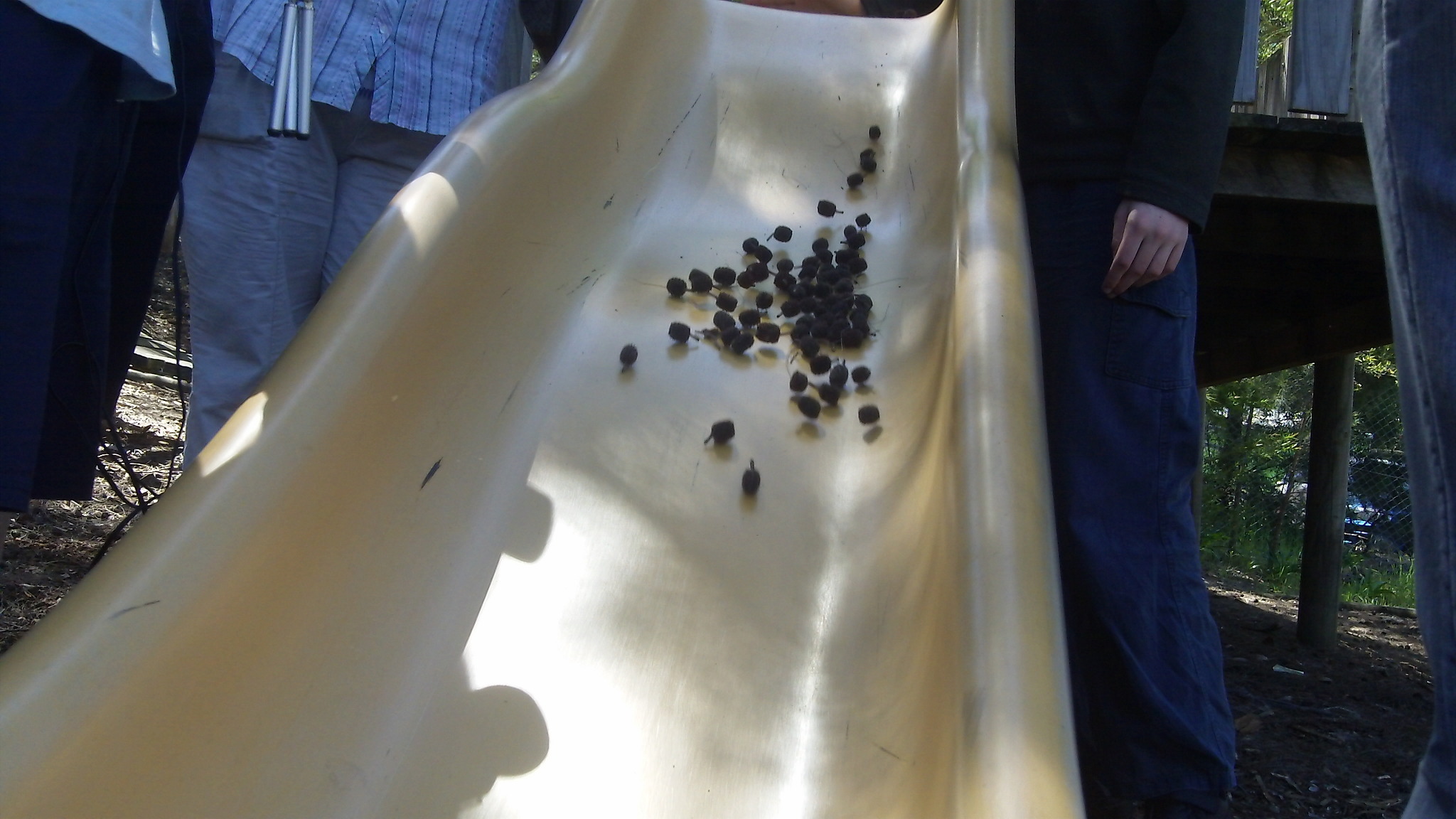 Vern Barnett School - Good Vibrations