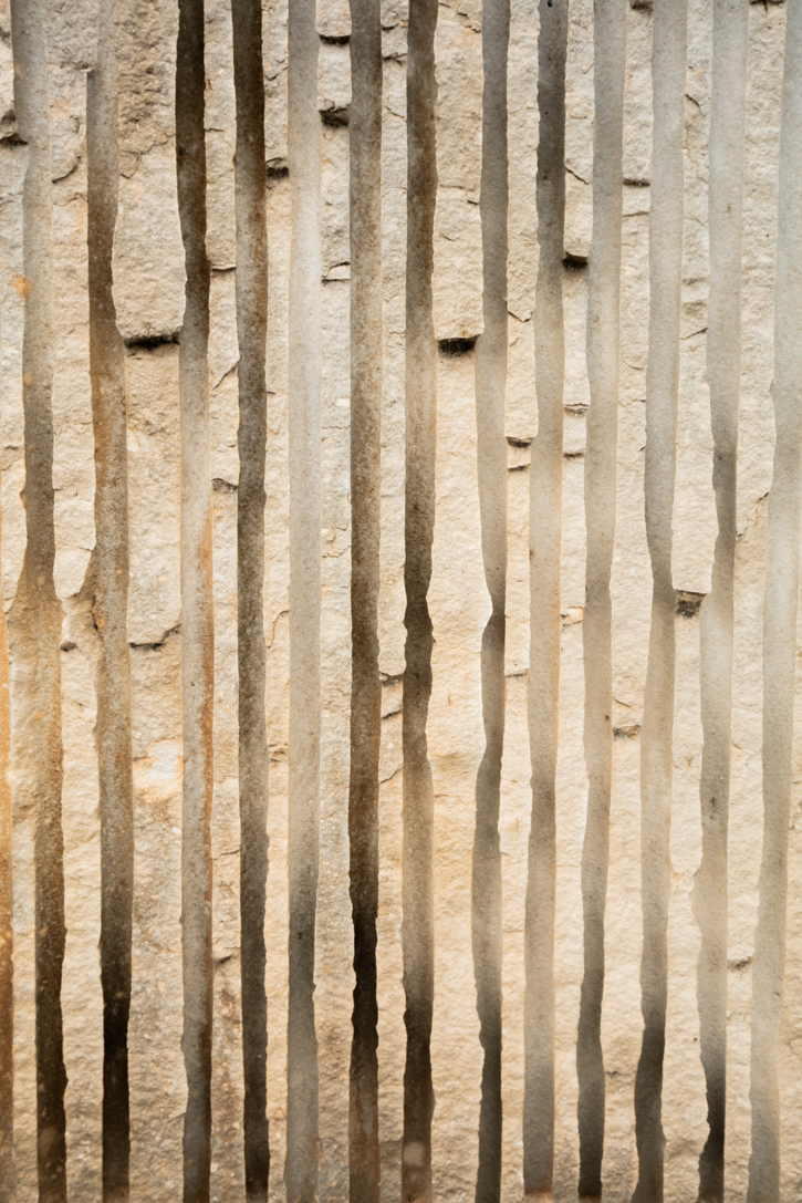 Celeuma II (2022/23) - miguelduarte