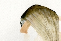 Imaginings - Alice Jenner