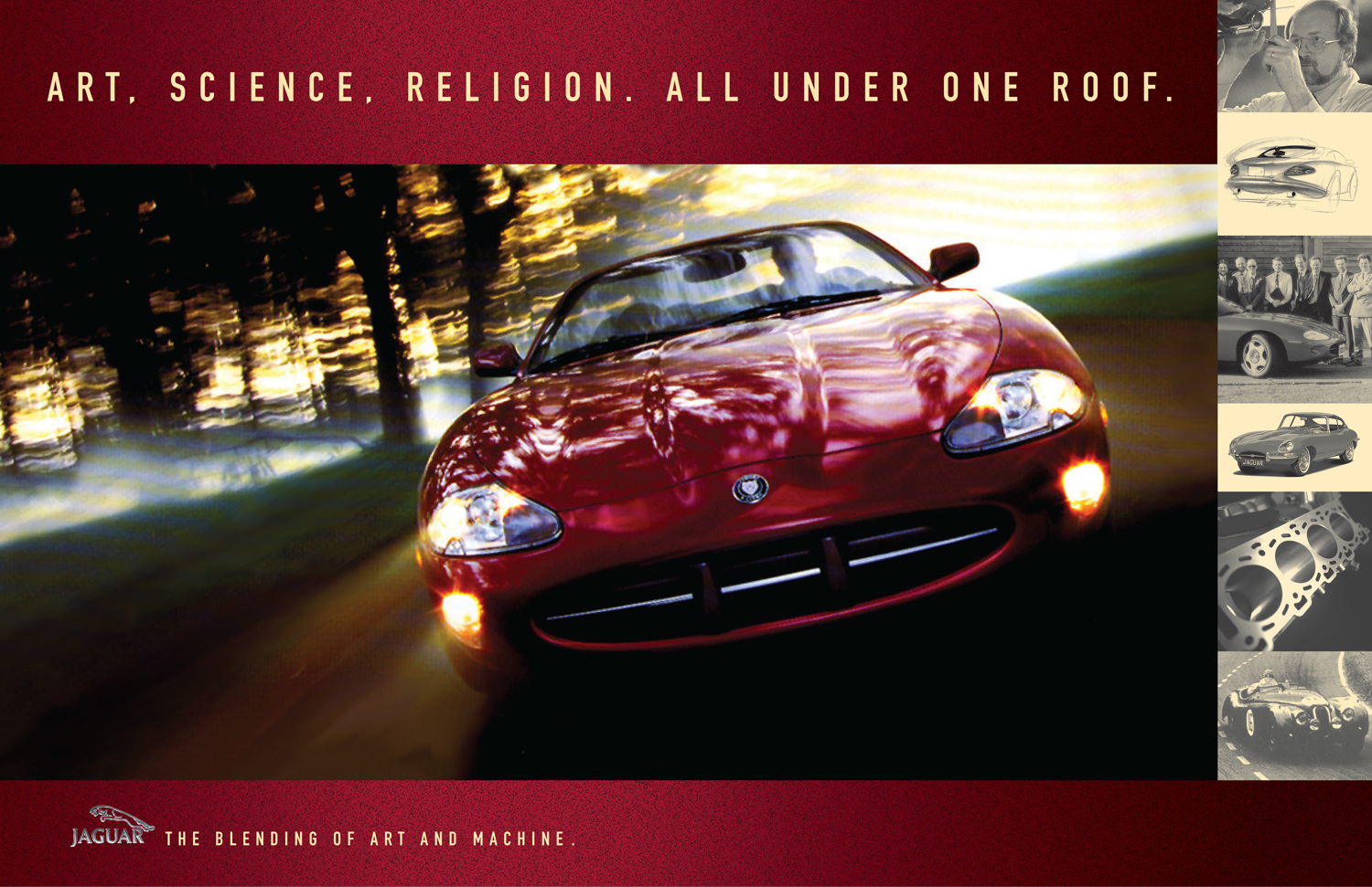 Jaguar - Frank Guzzone